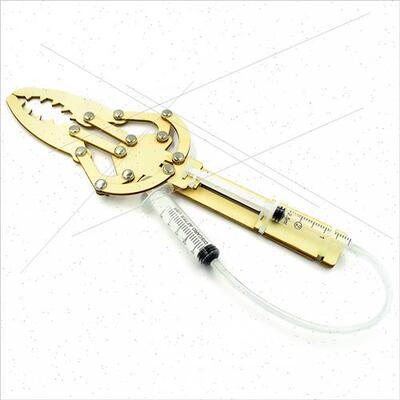 Hydraulic pneumatic syringe robot arm model materials DIY pi