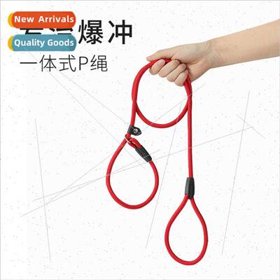 Dog leash explosion-propunch P chain dog walking leash anti-