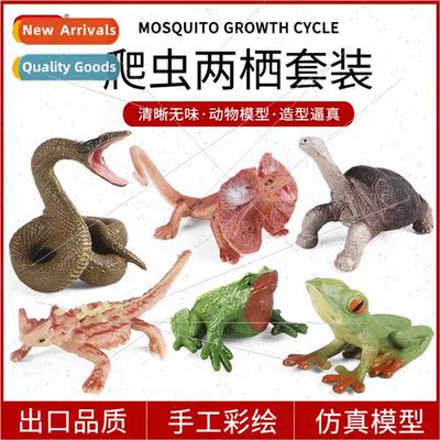 Cognive Miniature Creeping Amphibians Darwin Tree Frog Boa U