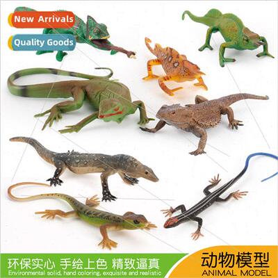 wild amphibian lizard chameleon model creative compulsion to