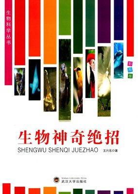 正版 管理信息系统概论:流程、系统与信息:processes, systems, and information