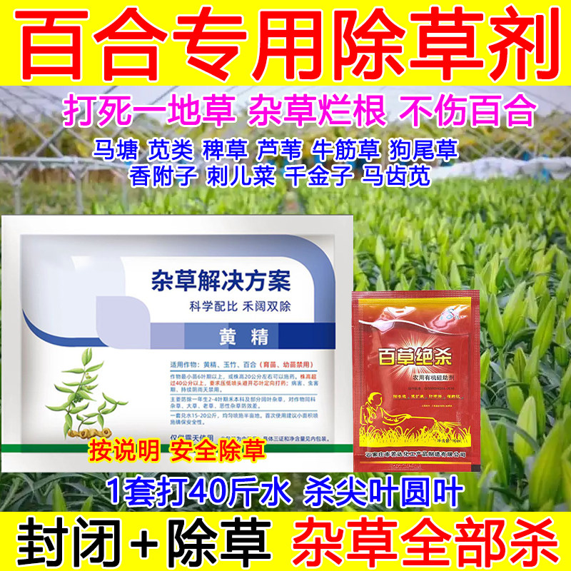 百合专用除草剂百合除草剂禾阔双除百合苗后除草剂烂根狗尾草马塘