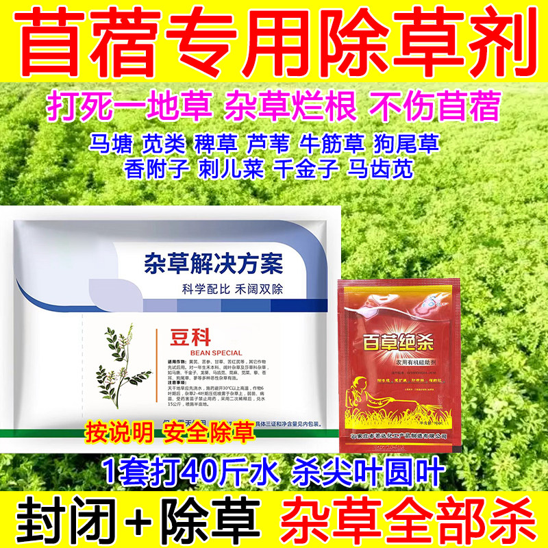 苜蓿专用除草剂苜蓿除草剂禾阔双除苜蓿苗后除草剂烂根狗尾草马塘