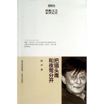正版包邮把猫头鹰和夜莺分开陈冲北岳文艺出版社9787537838740