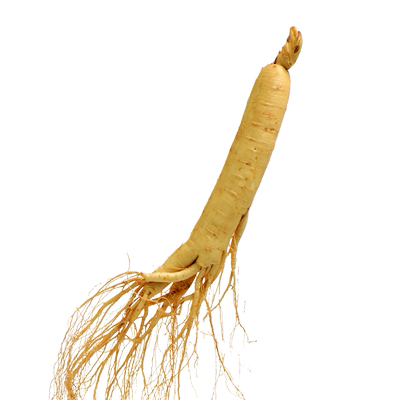 巧天然长白山鲜人参110g