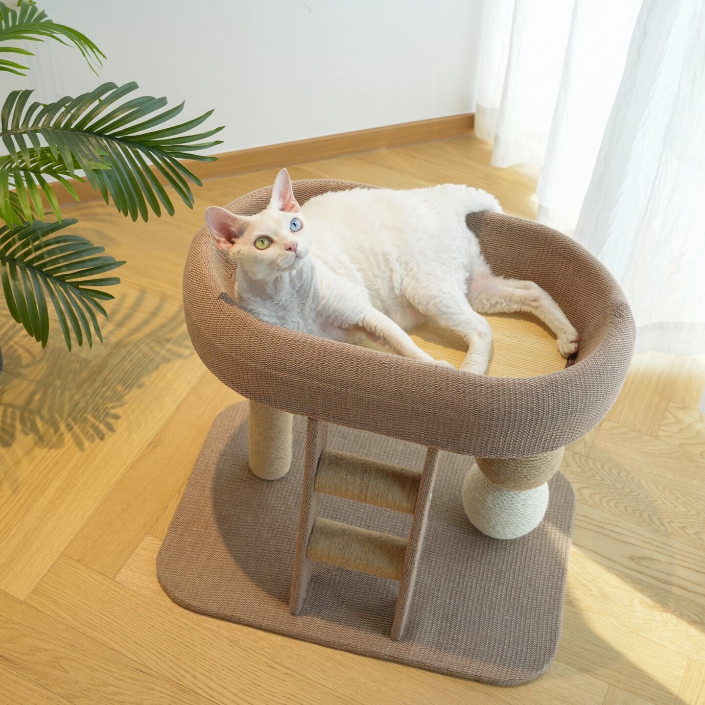 猫爬架猫窝一体剑麻小型矮脚通用猫架子不占地四季凉席猫抓柱玩具