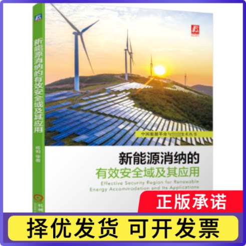 新能源消纳的有效安全域及其应用杨明,,于一潇著9787111739678机械工业出版社书籍\/杂志\/报纸/工业/农业技术/能源与动力工程