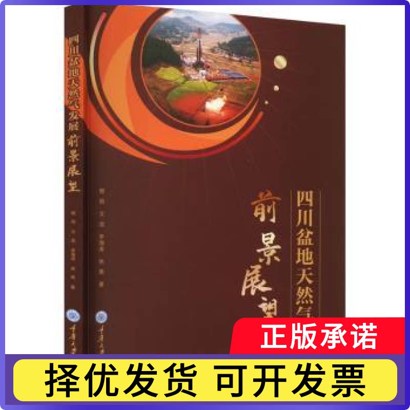 四川盆地天然气发展前景展望杨雨[等]著9787568940610重庆大学出版社书籍\/杂志\/报纸/工业/农业技术/能源与动力工程