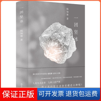 【保正版】一团坚冰杨知寒译林出版社9787544791236