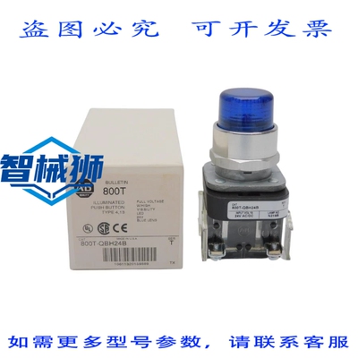 原装供应 罗克韦尔AB 800T-QBH24B SER.T 24V NSMP