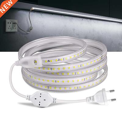 High Quality AC 110V 220V LED Strip Ligs 2835SMD 120LEDs/m