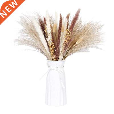 Pappas Grass Plums,Fluffy Pappas Grass Plant Branches,Tusk A