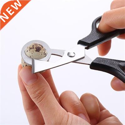 14cm Quail Egg Scissors Bird Egg Scissors ainless eel