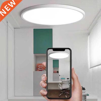 Ultrathin LED Ceiling Lights 6W-48W AC 85-265V Modern LED Pa