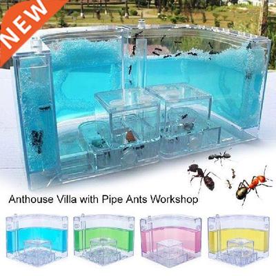 10.8CM Ants House Art Habitat Fanny Ant Nest Decoration Pet