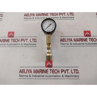 原装供应Accutek PG-100 SD 2 压力 0-100 PSI