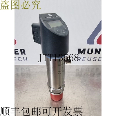 恩德斯豪瑟 Ceraphant PTP33B |