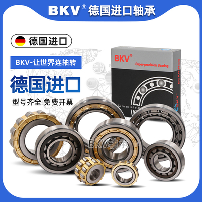 德国BKV进口圆柱滚子轴承
