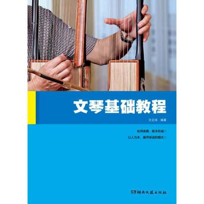 【正版书包邮】文琴基础教程文正球湖南文艺出版社