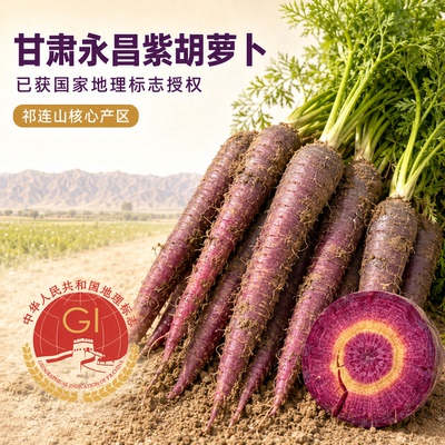甘肃永昌紫胡萝卜富含花青素
