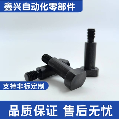 带肩铰链销轴MIE01-D8L1