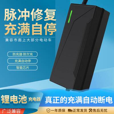 锂电池充电器48V2A24V36V42A60V54.6VA67.2V72V电动车滑板车代驾