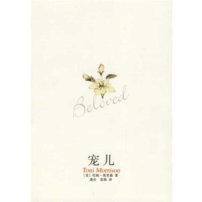 (美)莫里森 著,潘岳,雷格 译宠儿（正版旧书包邮）南海出版社9787544234764