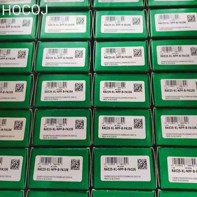 外球面轴承RASE40-N-FA125 GE40-NPP-B-FA125.5立式轴承座单元