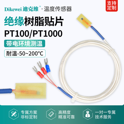 迪克维树脂绝缘粘贴式铂热电阻