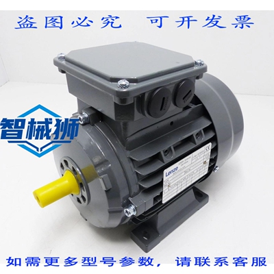 原装供应 LENZE MDERAXX071-23V1C 13378689 电机 0.25KW RPM860