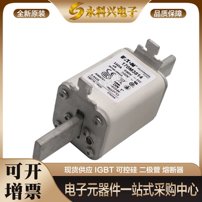 巴斯曼熔断器170M3972/3973/3974