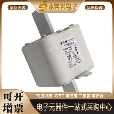 巴斯曼熔断器170M8644/8645/8646