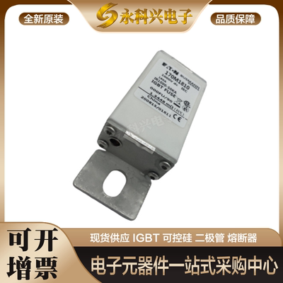 巴斯曼熔断器170M181018111812