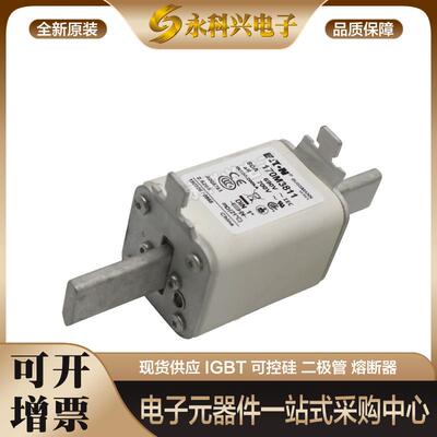 巴斯曼熔断器170M3563/3564/3565