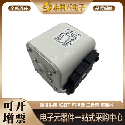 快速熔断器170M65486549保险丝