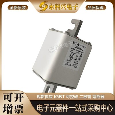 巴斯曼熔断器170M5740/5741/5742