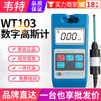 韦特高斯计WT103/105/108高精度特斯拉计20000GS永磁铁表面磁场测