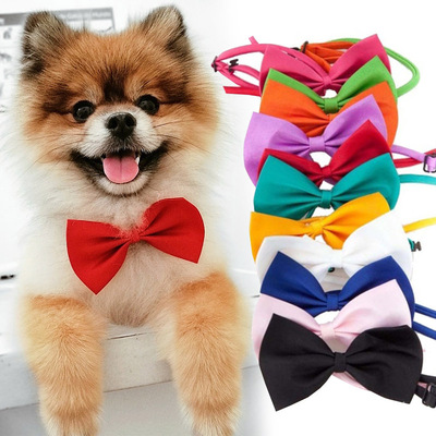 50PCS Pet Dog Cat Necklace Adjustable Strap For Cat Collar