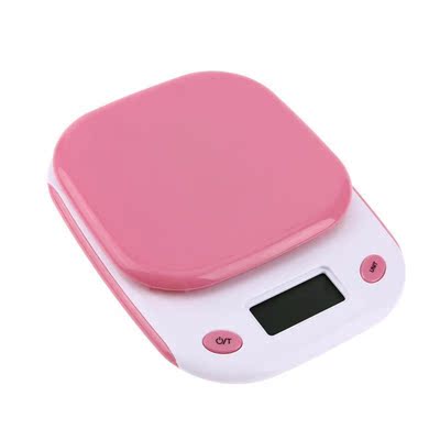 5kg/1g Display Steelyard Scales Balance Kitchen Bakery Food