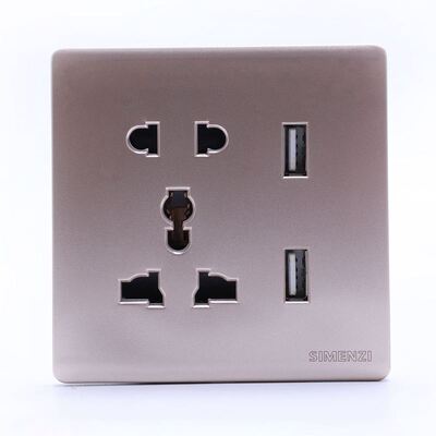 Wall Electrical 10A Plug Faceplate Socket Double 2 USB Outle