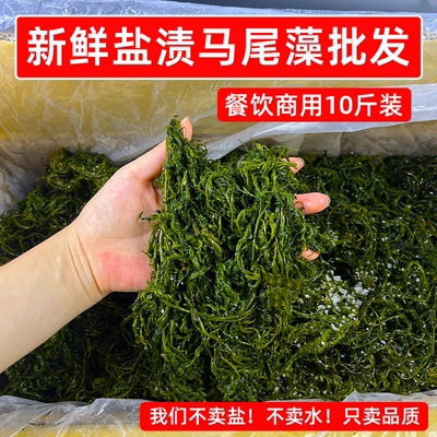 新鲜盐渍鞭炮笋10斤商用马尾藻批发长寿菜龙须海草火锅麻辣烫食材