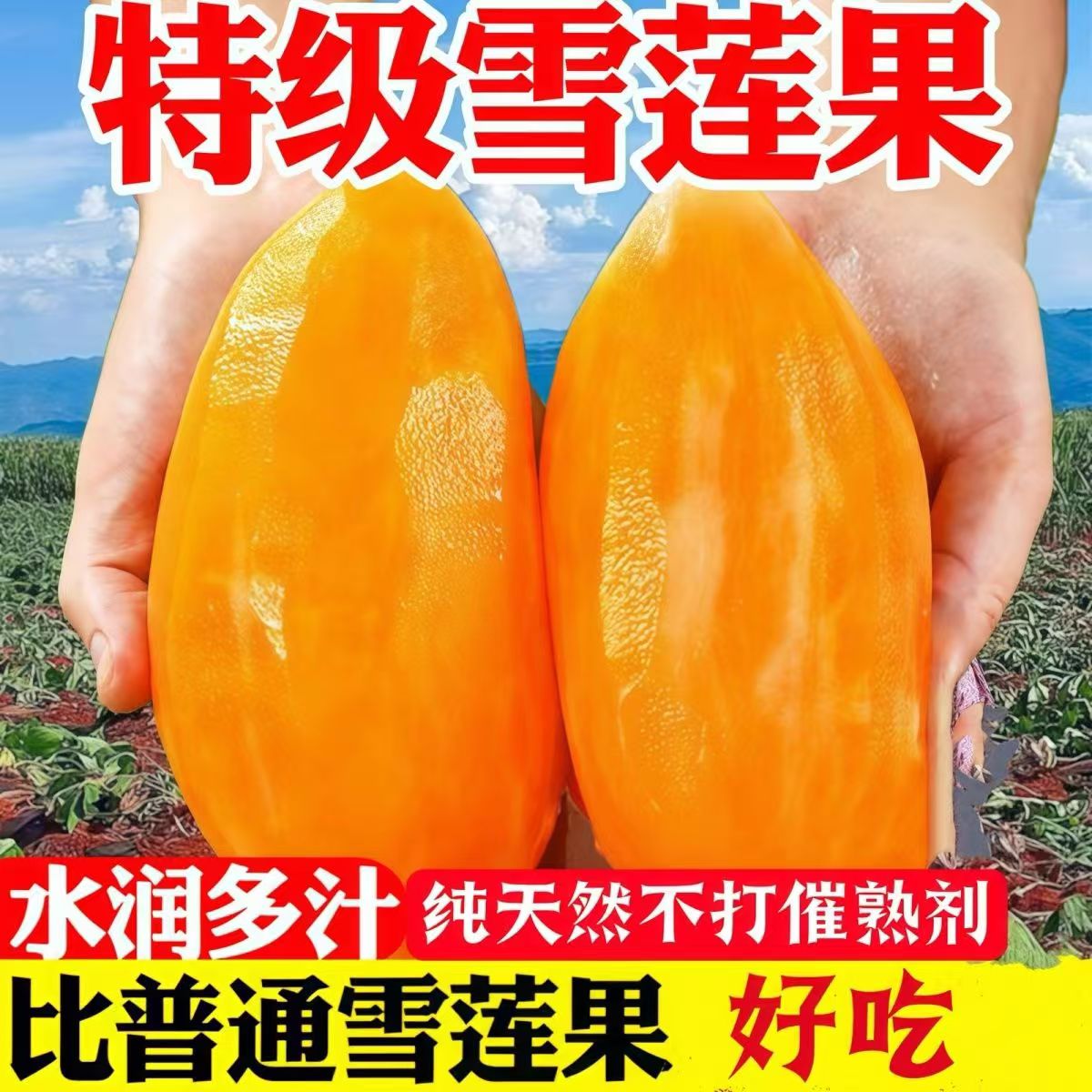 云南雪莲果新鲜水果当季现挖脆甜红心黄心雪连果孕妇水果