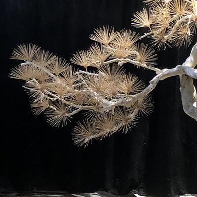 仿真树大型树木摆件新中式枯木枝干造景装饰物酒店大堂景观假树