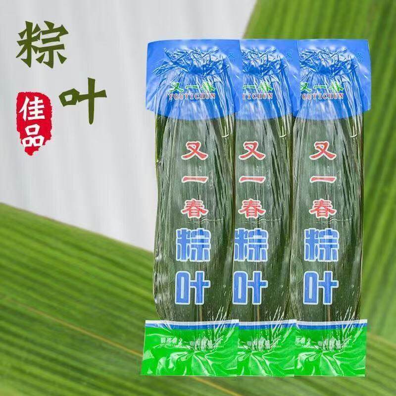 新鲜粽叶包粽子专用大号粽叶端午包粽子的叶子干粽叶鲜粽叶