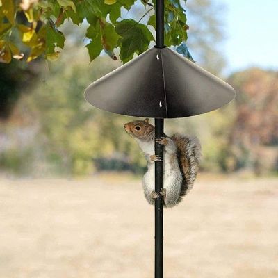Bird Feeder Bezel Circular Wall Protection Universal Wild