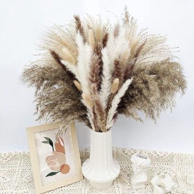 50/80Pc Dried Pampas Grass Premium Dry Bouquet With