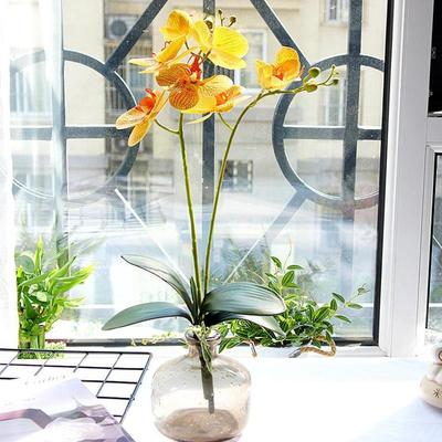 57cm Latex Orchid With Leaves Artificial Flower White