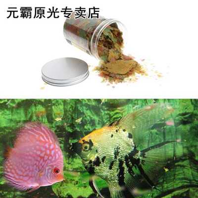Fish Flakes 适用于 Tropical Fish Marine Ornamental Aquarium