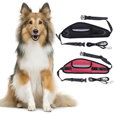 Portable Outdoor Dog Leash Running Nylon Hand Freely Pet