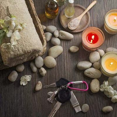 100pcs Carabiners Aluminum Locking Carabiner Spring Clips Ho